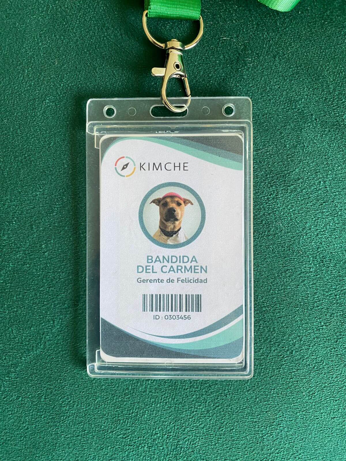 Bandida del Carmen, la nueva Gerente de Felicidad - KIMCHE
